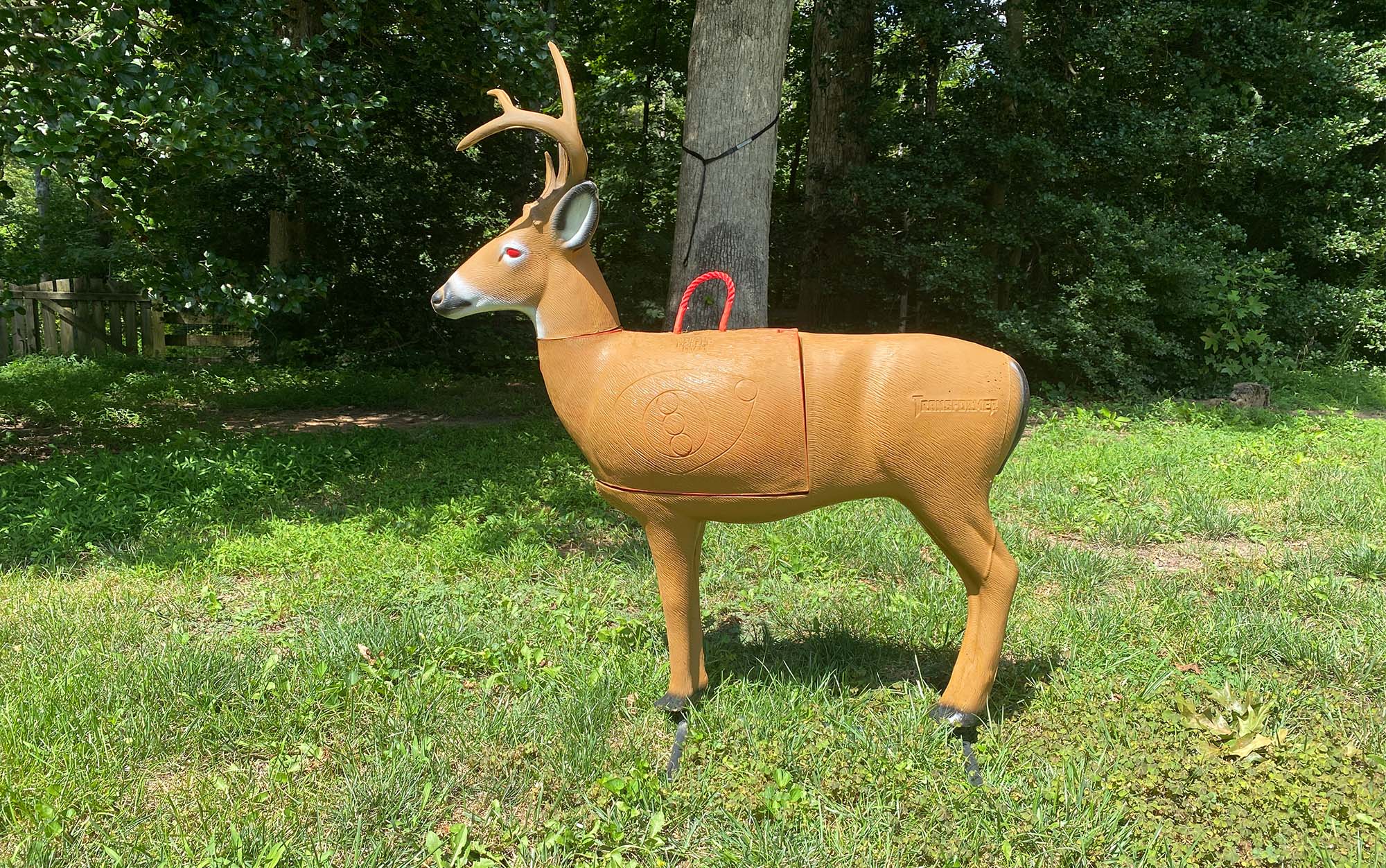 The Best Archery Targets of 2023, Tested and Reviewed | Outdoor Life