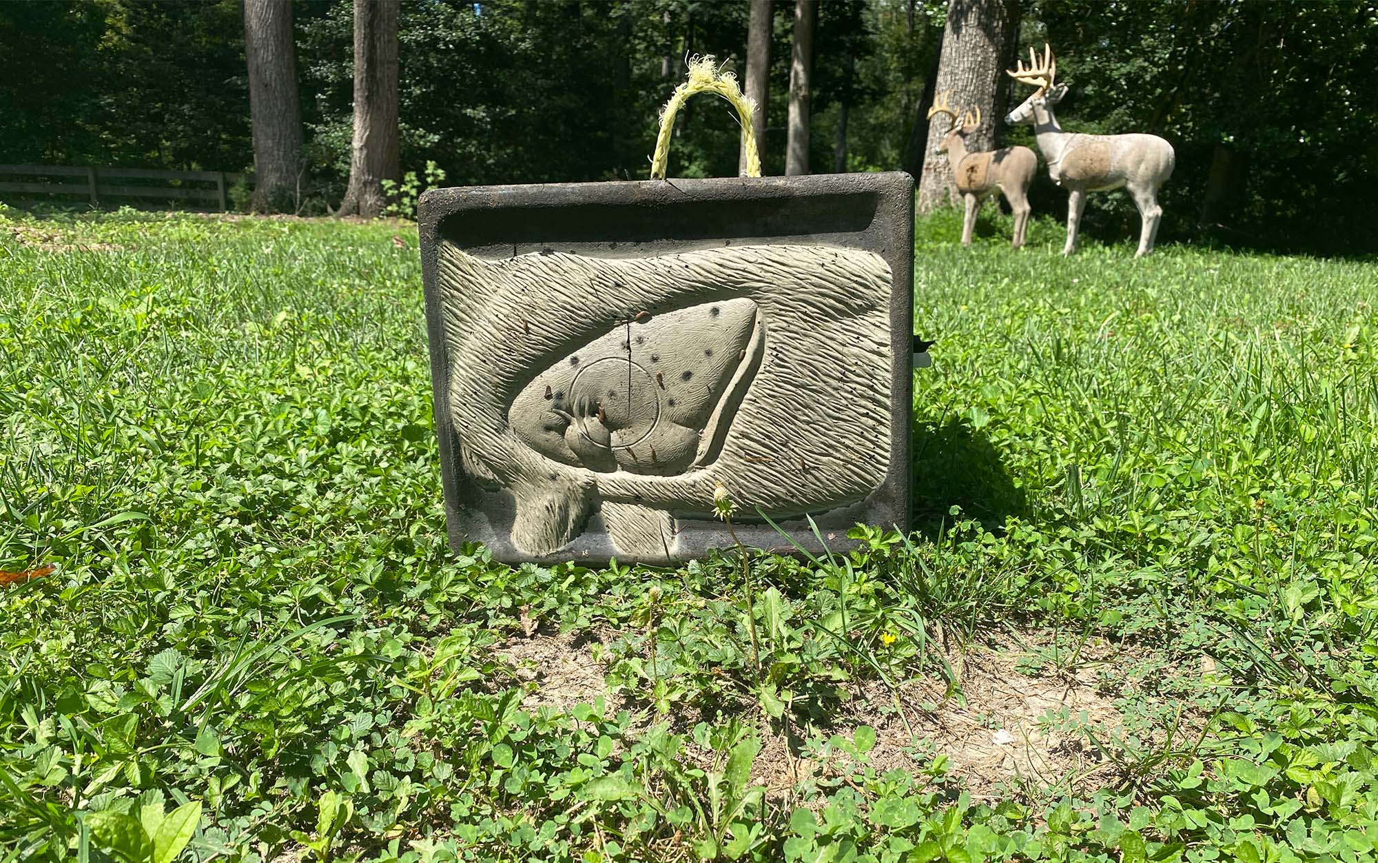 The Best Archery Targets of 2023, Tested and Reviewed | Outdoor Life