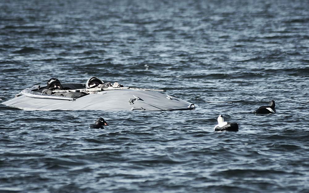 Best Duck Hunting Boats of 2023 | Outdoor Life