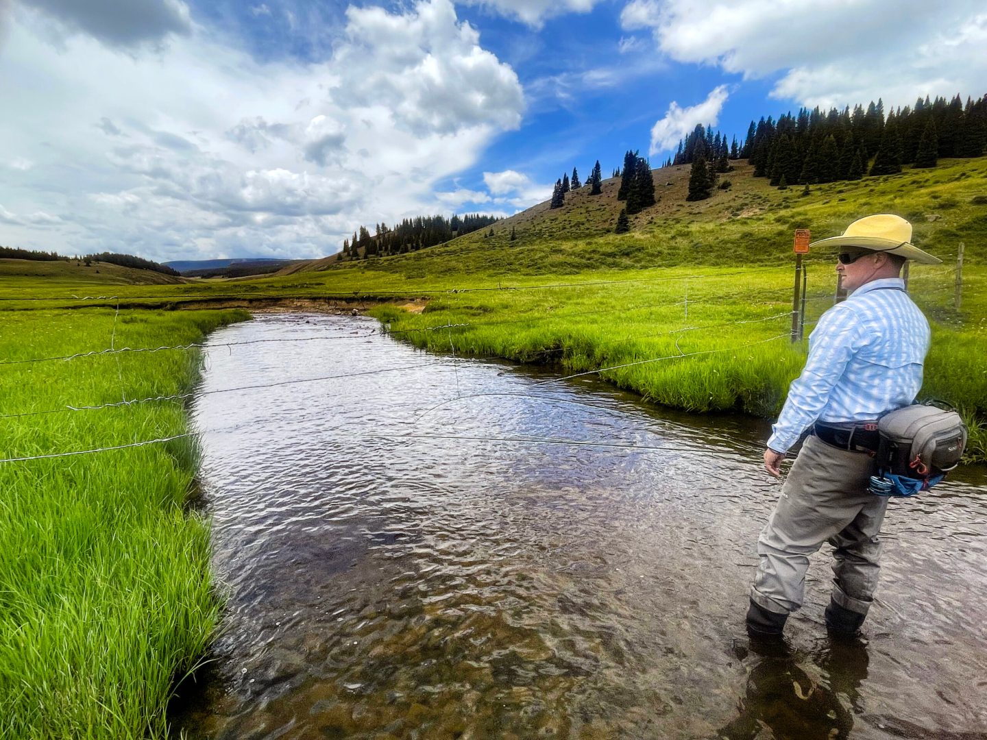 "I'd Have to Bury You Out Here." New Mexico's Stream Access War ...