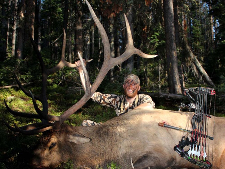 Best Elk Calls of 2025, Expert Picks and Sound Files