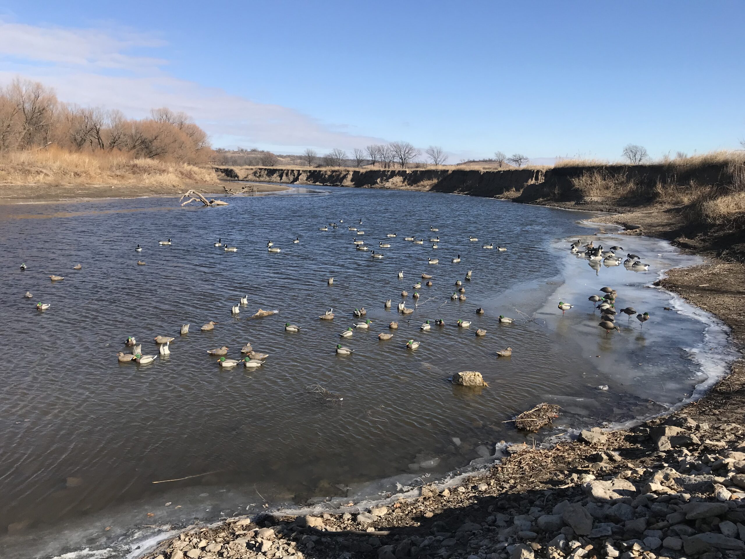 How to Hunt Ducks | Outdoor Life
