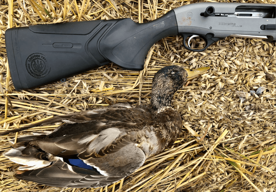 How to Hunt Ducks | Outdoor Life