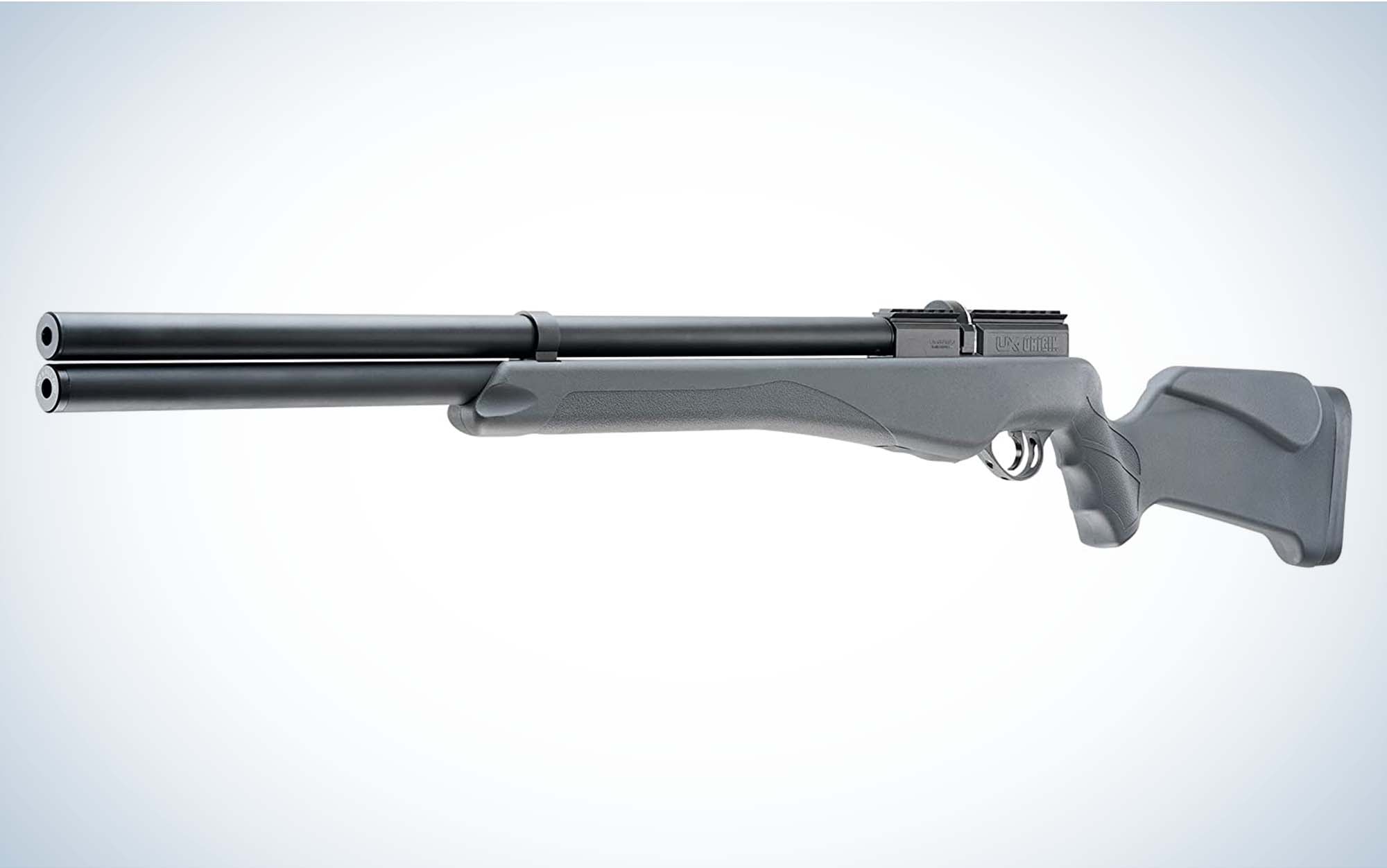 Best Air Rifles for Squirrels of 2025 | Outdoor Life