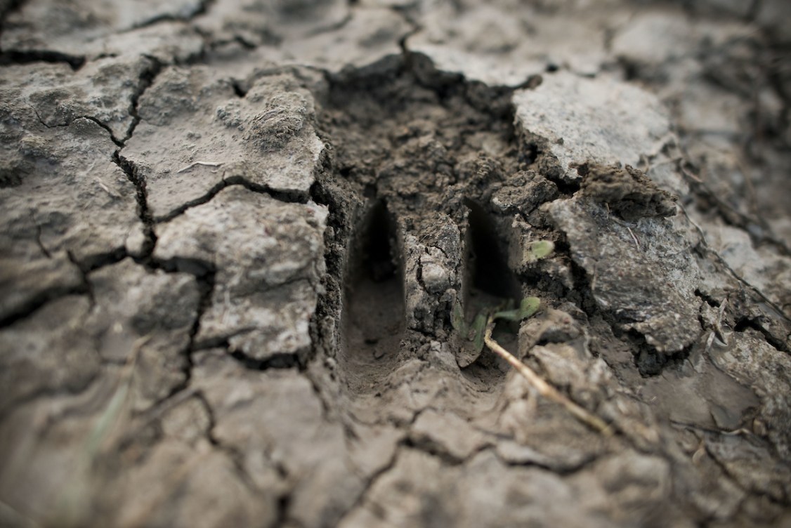 How to Bow Hunt Deer | Outdoor Life