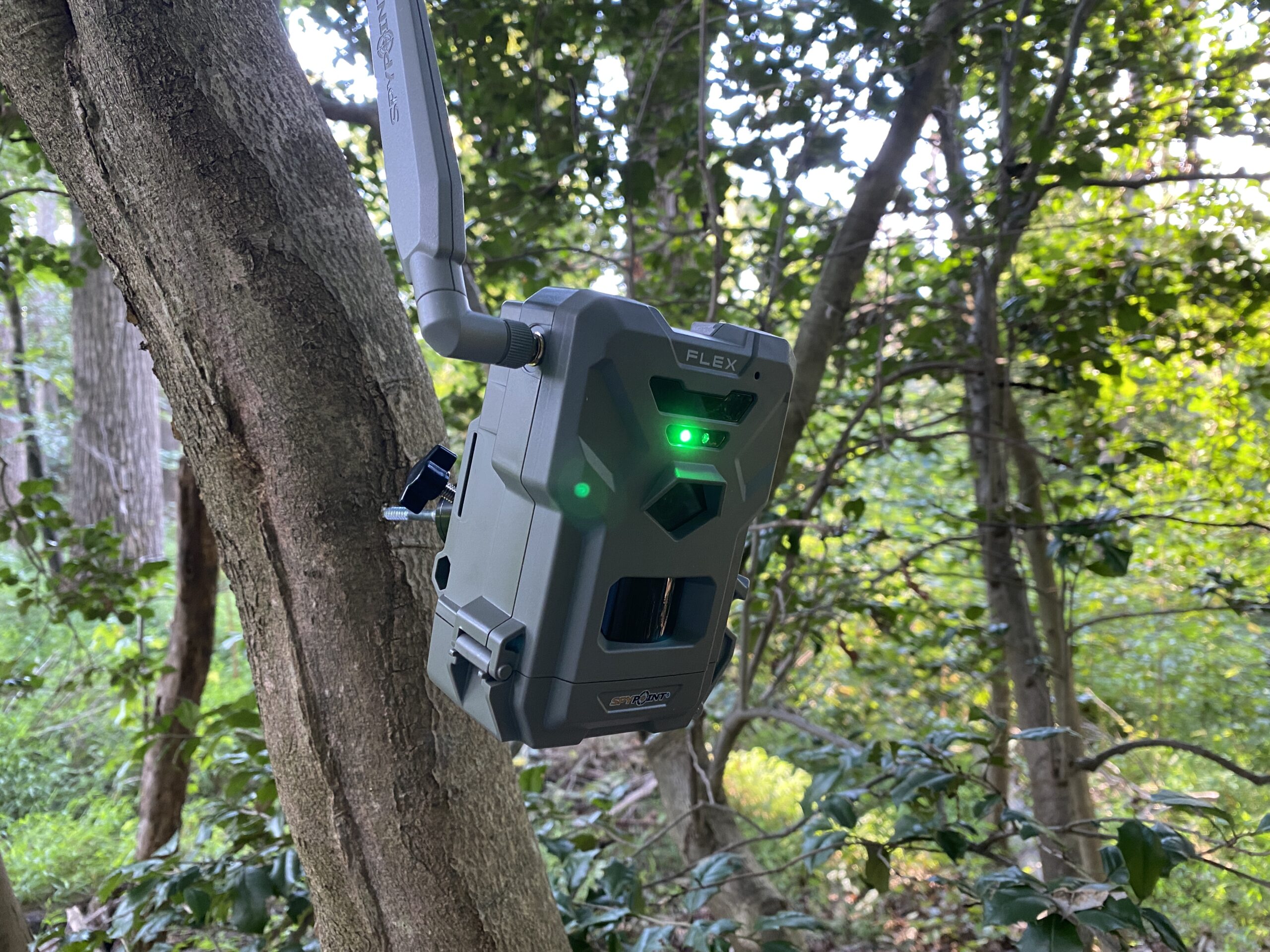 Best Budget Trail Cameras of 2023, Tested | Outdoor Life