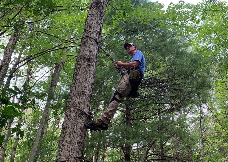Best Tree Saddles, Tested and Reviewed | Outdoor Life