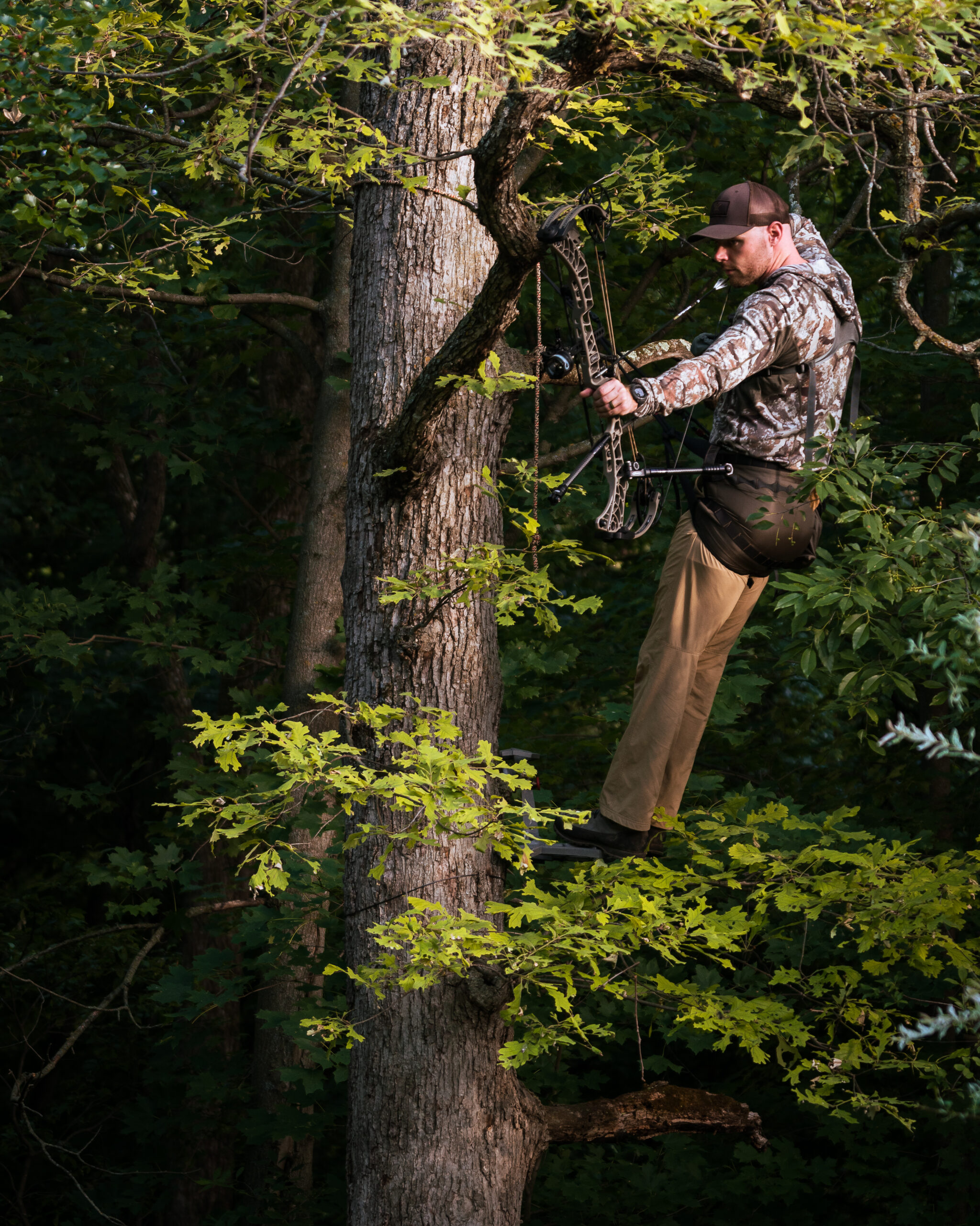 Best Tree Saddles for 2023, Tested and Reviewed | Outdoor Life