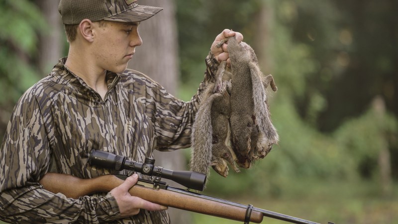 How to Get Started Hunting Squirrels With a Dog