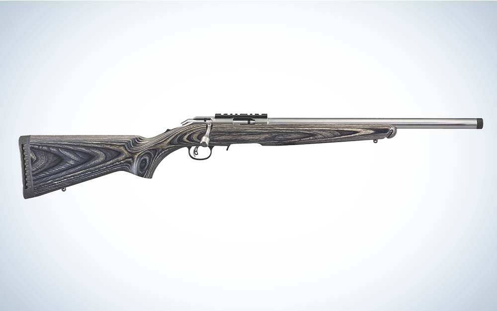 The Best Squirrel Hunting Rifles | Outdoor Life
