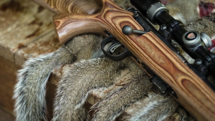 The Best Squirrel Hunting Rifles | Outdoor Life