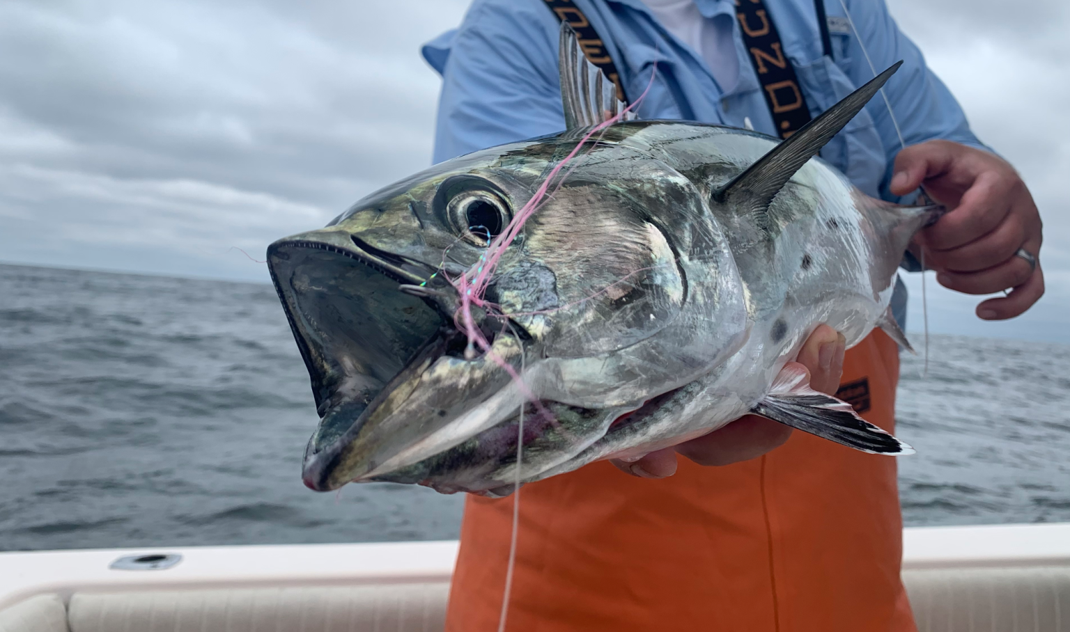 Eating False Albacore Raw: The Most Underrated Sashimi | Outdoor Life