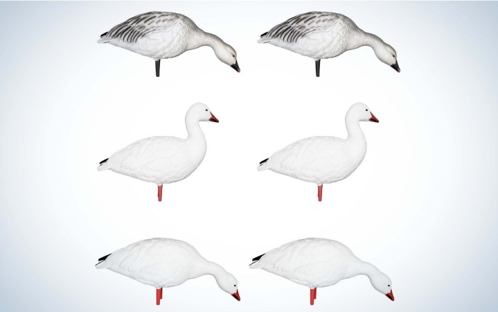 Best Snow Goose Decoys of 2024 | Outdoor Life