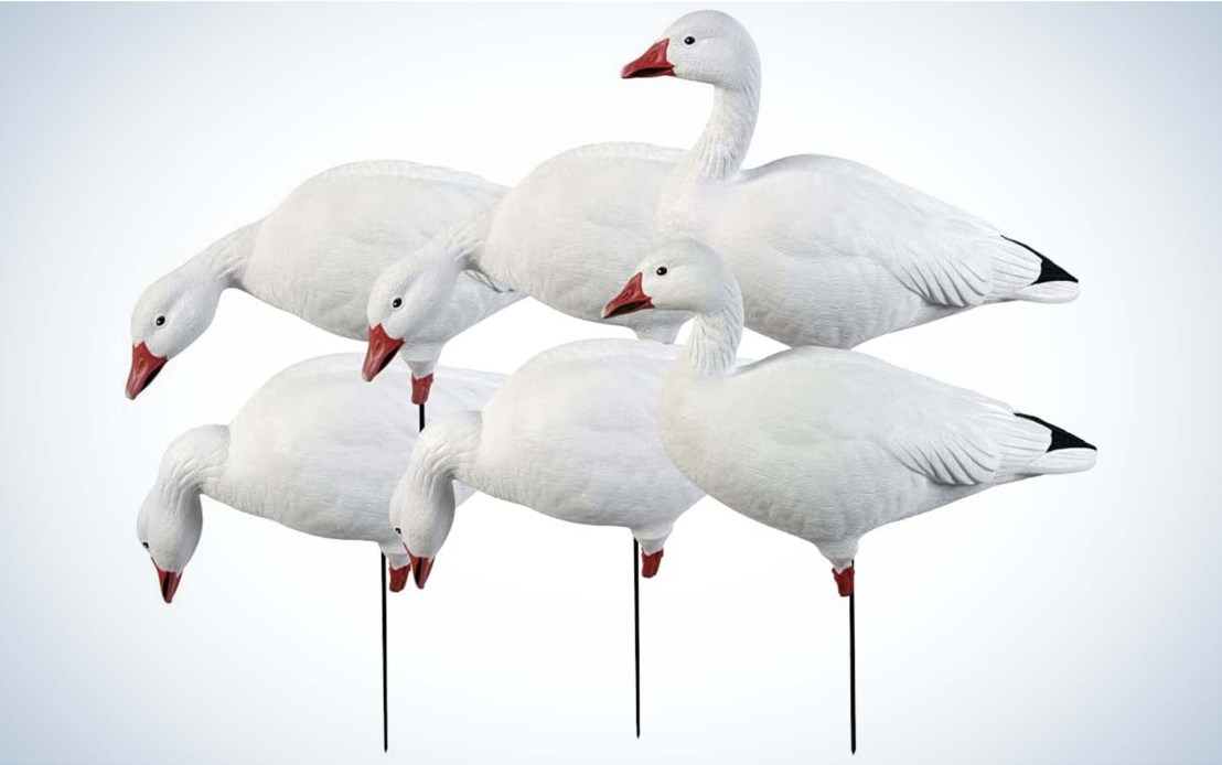 Best Snow Goose Decoys of 2025 | Outdoor Life