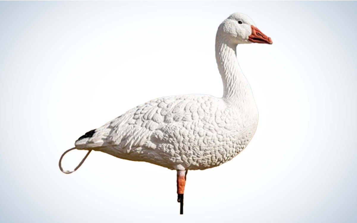 Best Snow Goose Decoys of 2025 | Outdoor Life