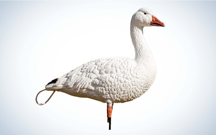 Best Snow Goose Decoys of 2024 | Outdoor Life