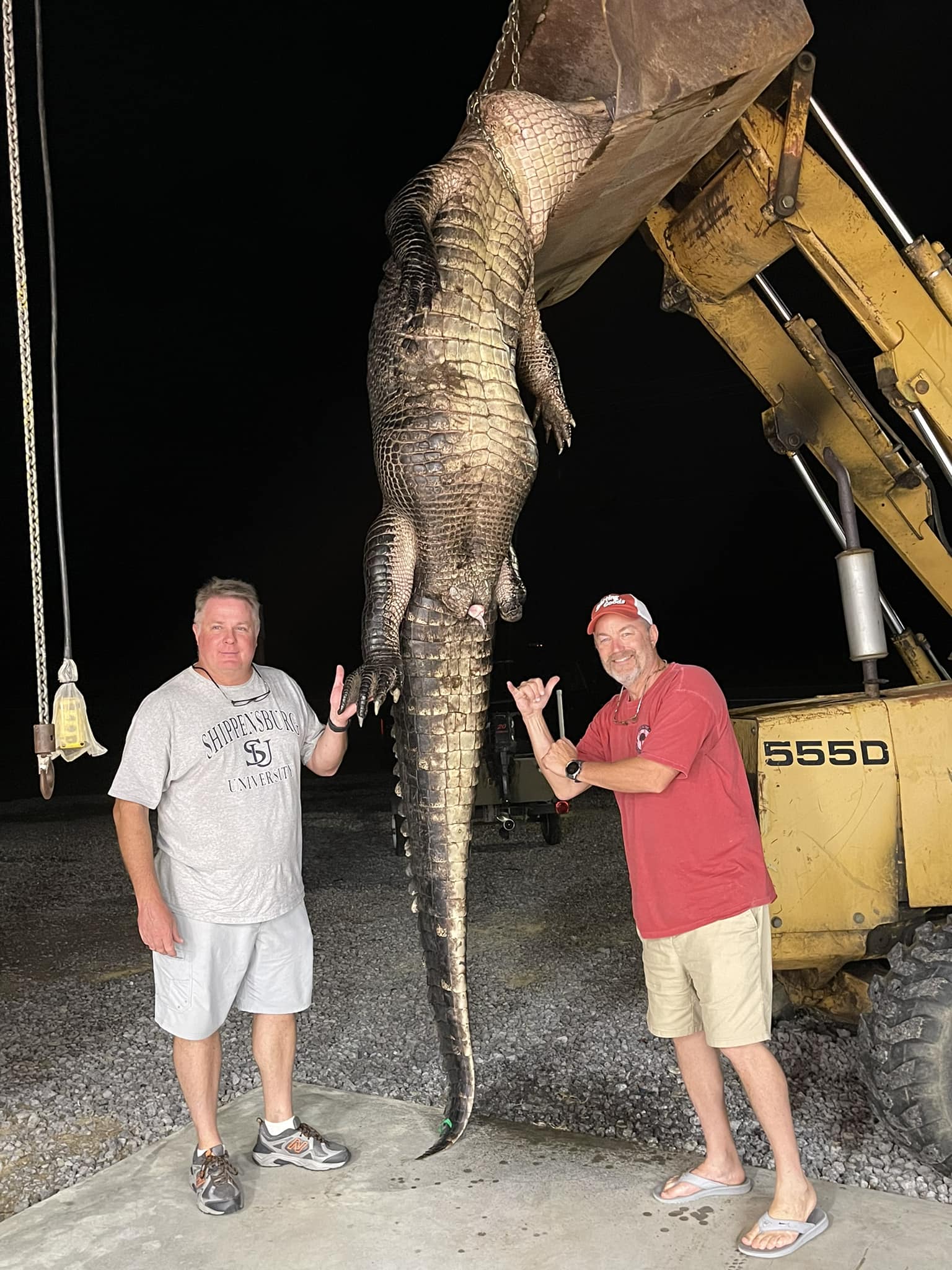 Two Giant Alligators Taken from South Carolina Lakes in One Day ...