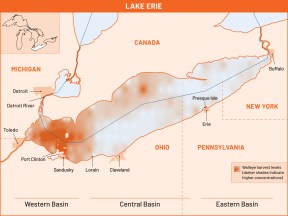 The Insane Cult of the Lake Erie Walleye | Outdoor Life