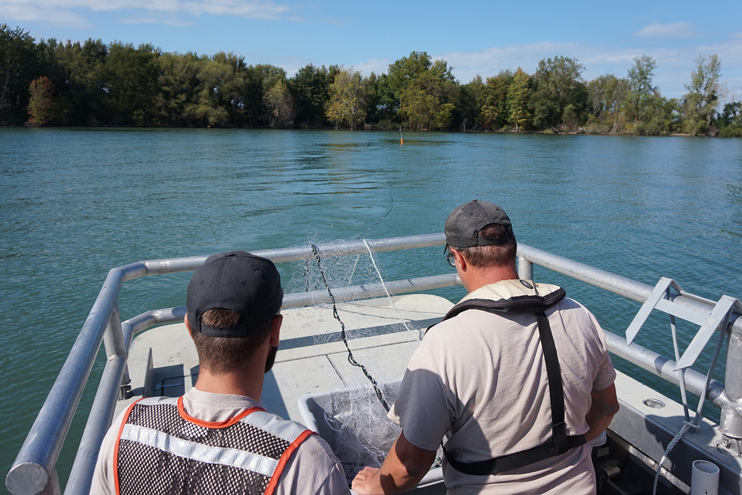 The Insane Cult of the Lake Erie Walleye | Outdoor Life