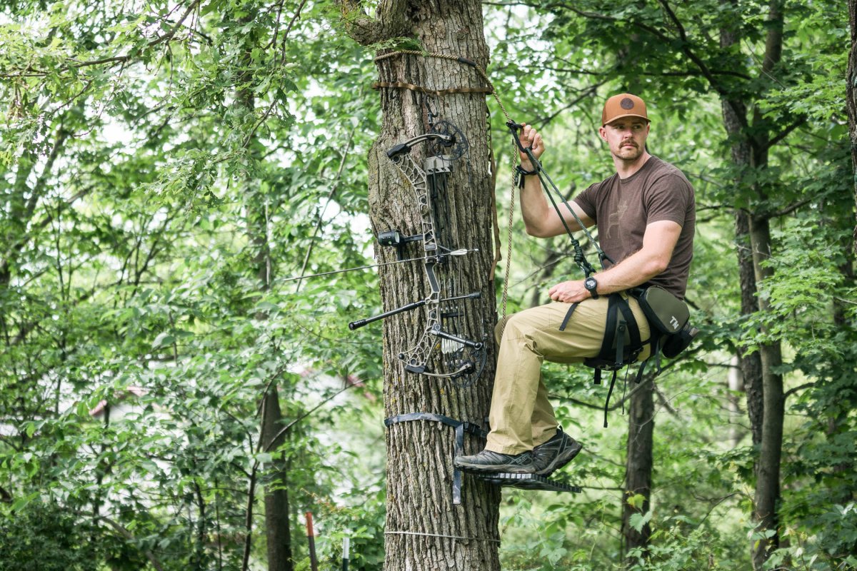 The Best Tree Saddles, Tested and Reviewed