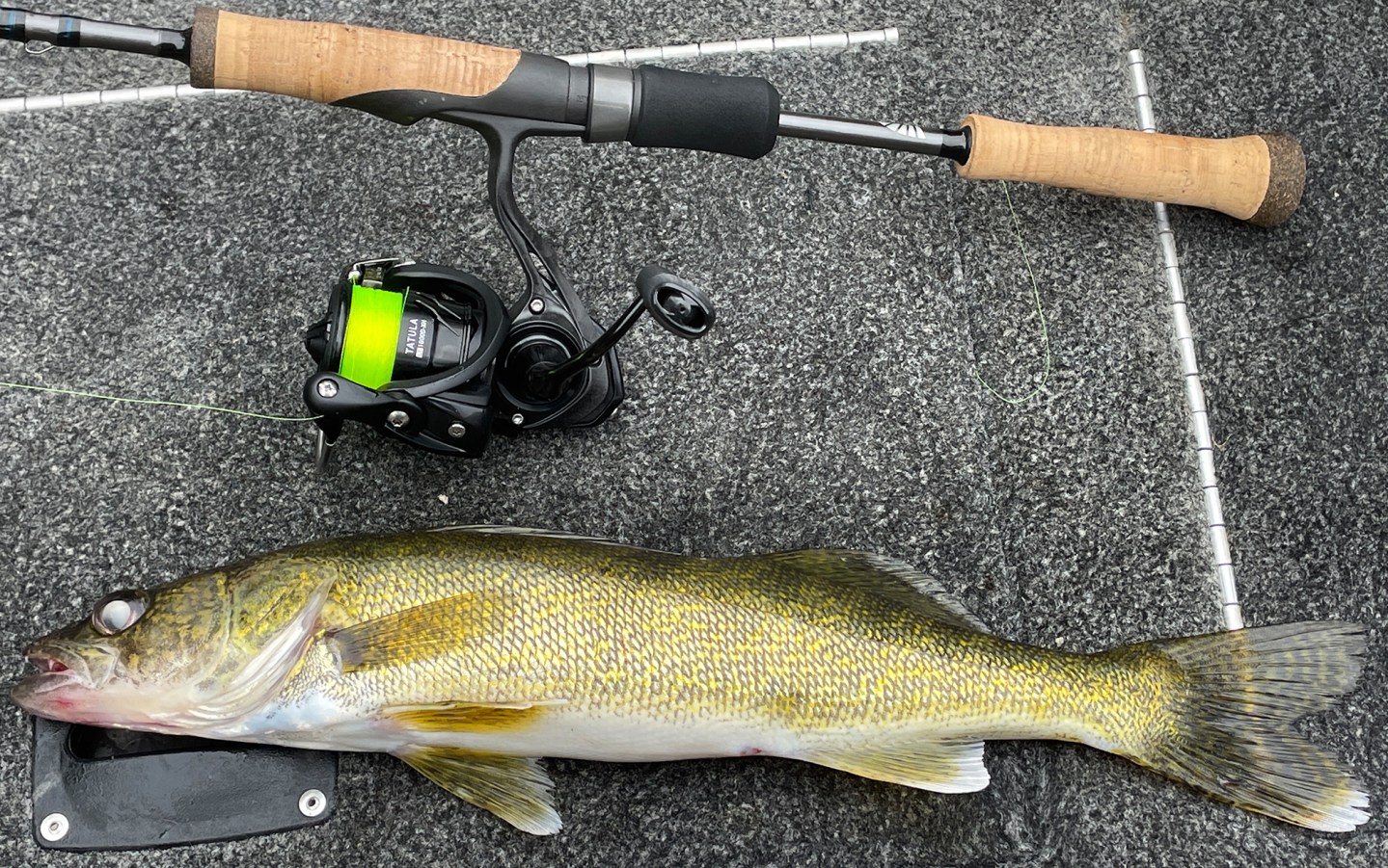 Best Ultralight Spinning Reels of 2025, Tested and Reviewed | Outdoor Life