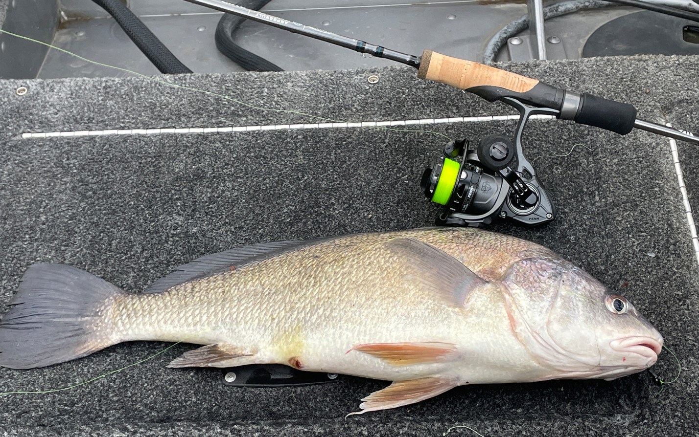 Best Ultralight Spinning Reels of 2025, Tested and Reviewed | Outdoor Life