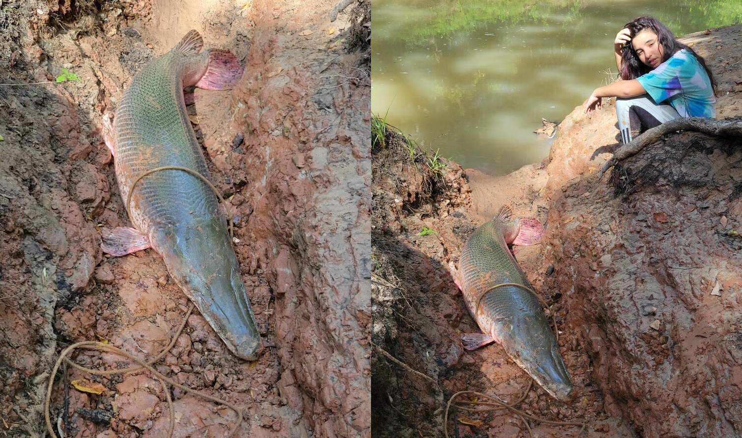Texas Anglers Catch Melanistic Alligator Gar | Outdoor Life