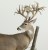 The Biggest Nontypical Whitetails of All Time | Outdoor Life