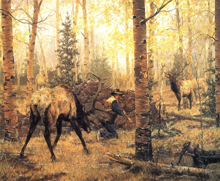 The Legendary Hunt for the Mercer Bull, One of the Biggest Elk Ever ...