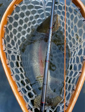 The Best Trout Fly Rods of 2025, Tested and Reviewed | Outdoor Life