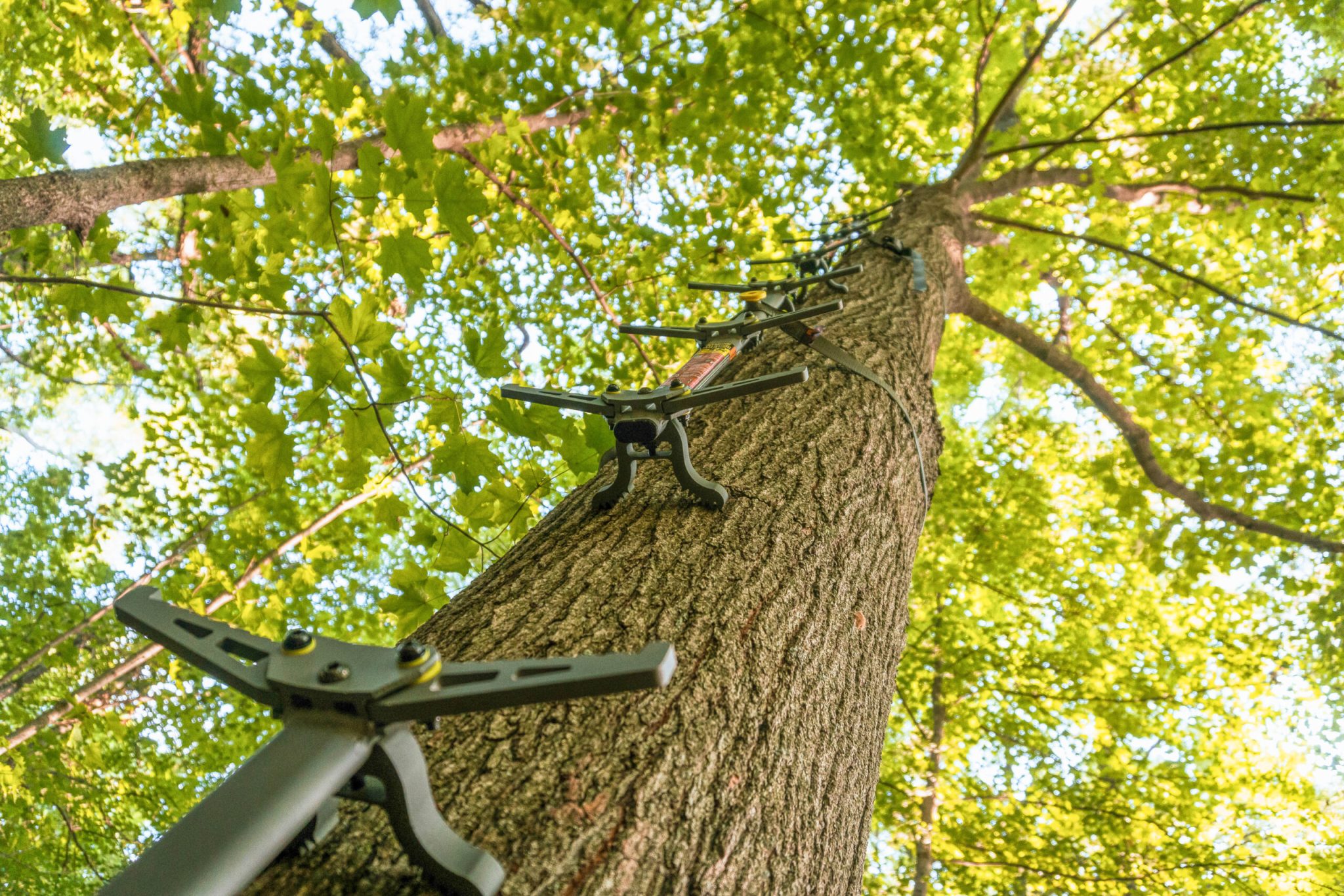 The Pros and Cons of Mobile Hunting the Rut | Outdoor Life