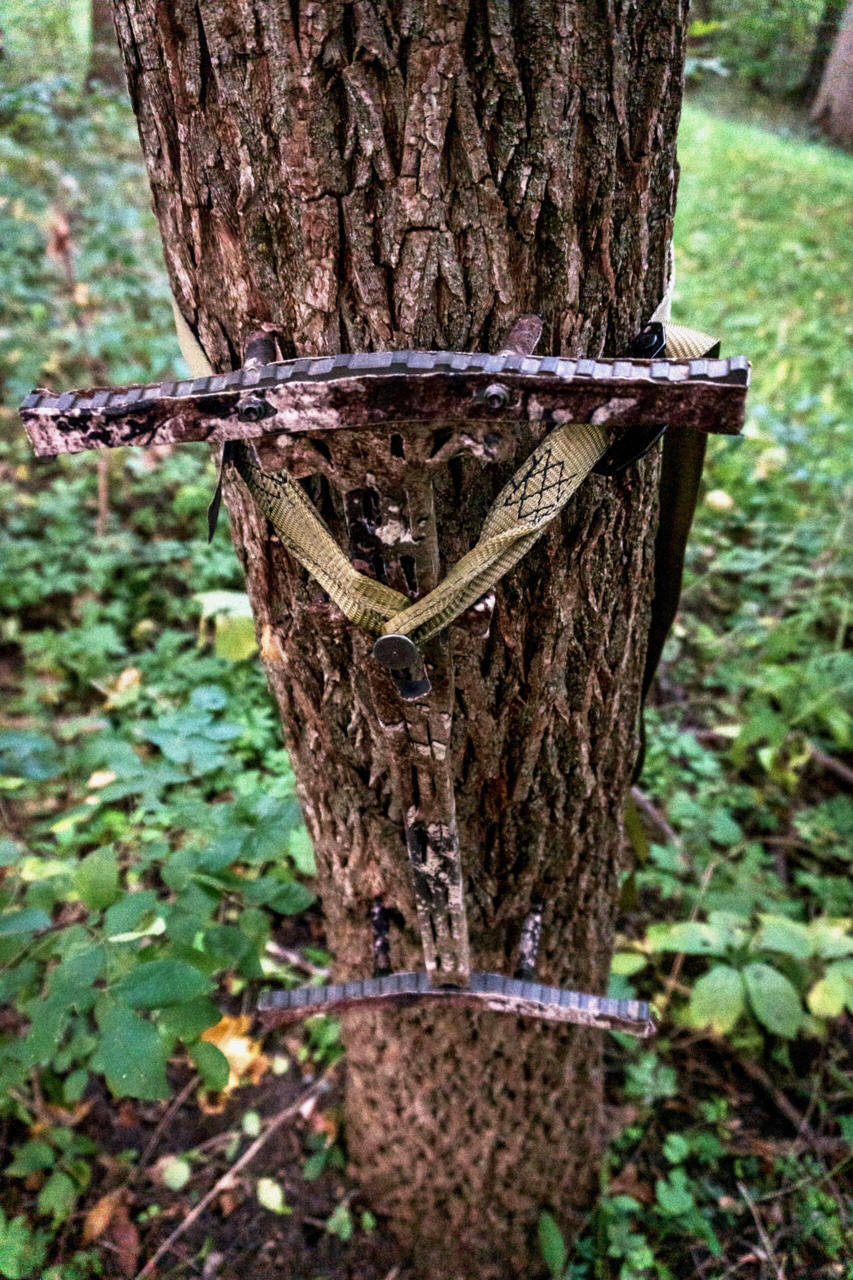 Best Climbing Sticks of 2023 | Outdoor Life