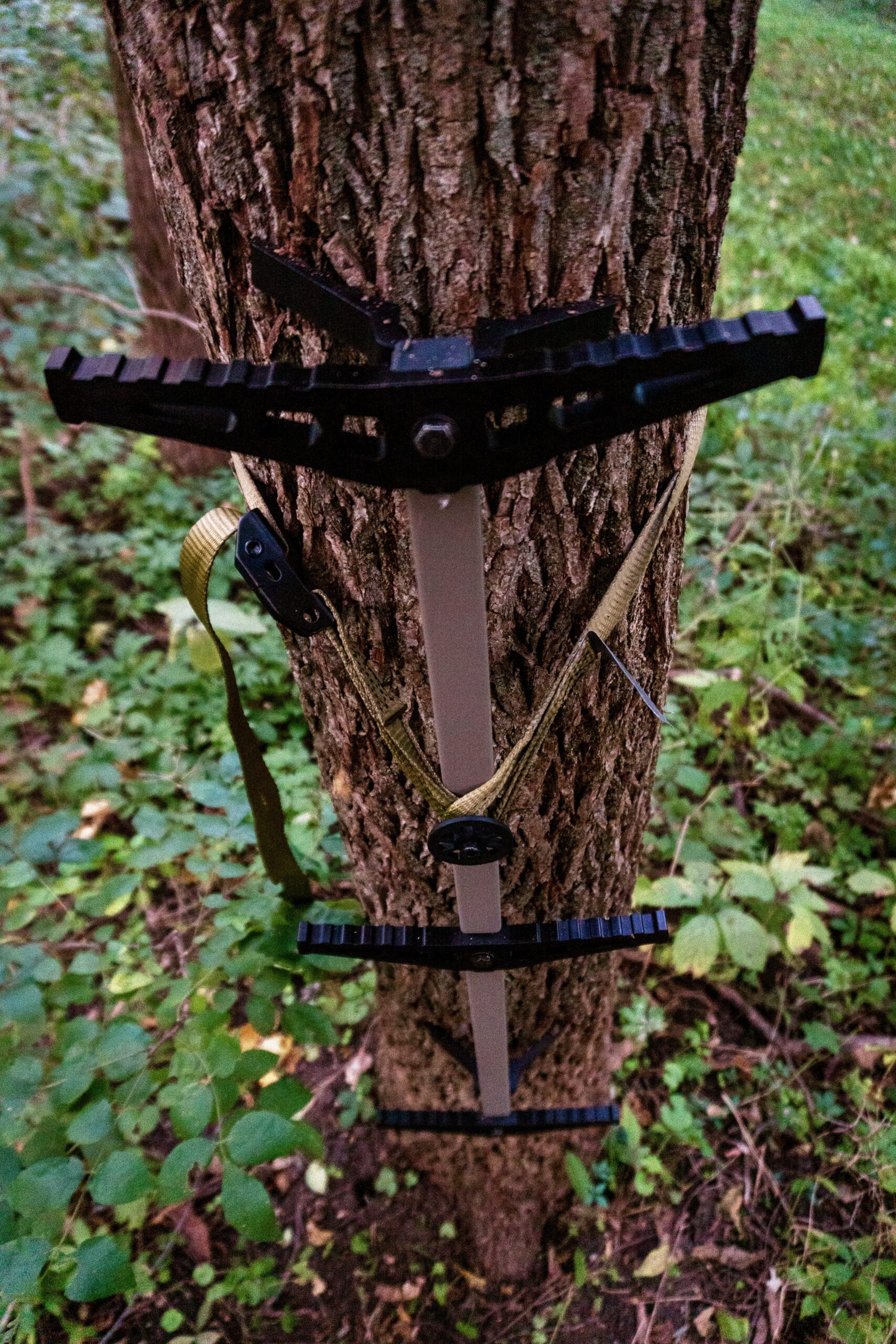 Best Climbing Sticks of 2023 | Outdoor Life