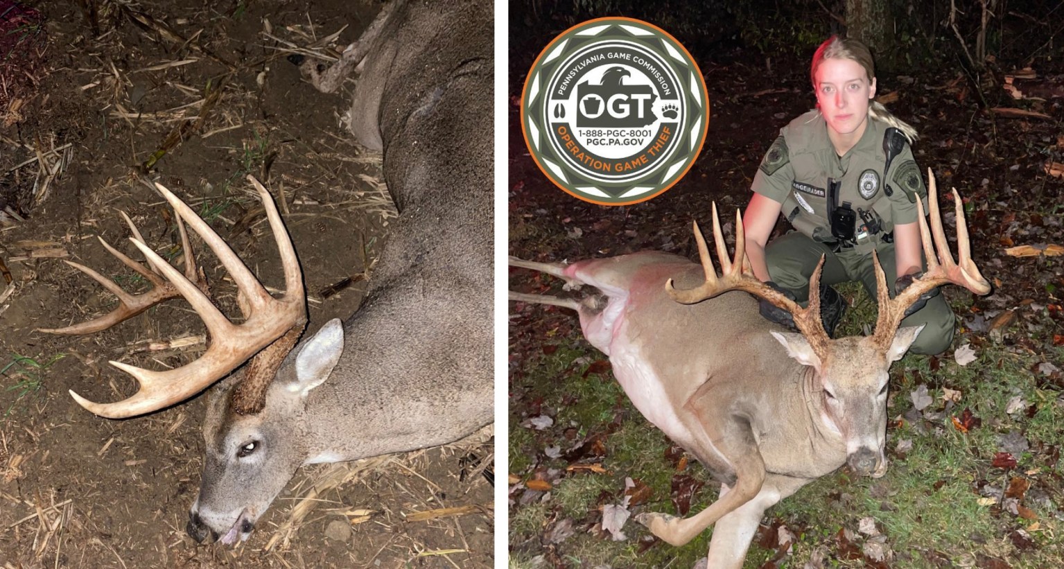 This Buck Was Poached Near a Pennsylvania Penitentiary | Outdoor Life