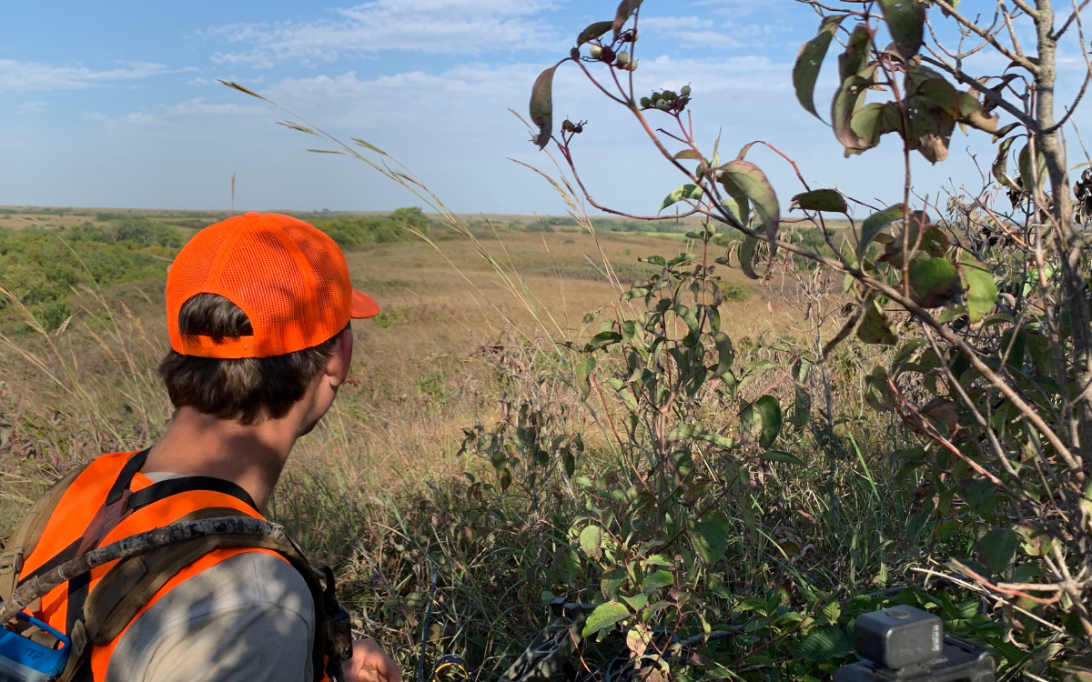 How to Locate Big Whitetail Bucks on Public Land in Kansas | Outdoor Life