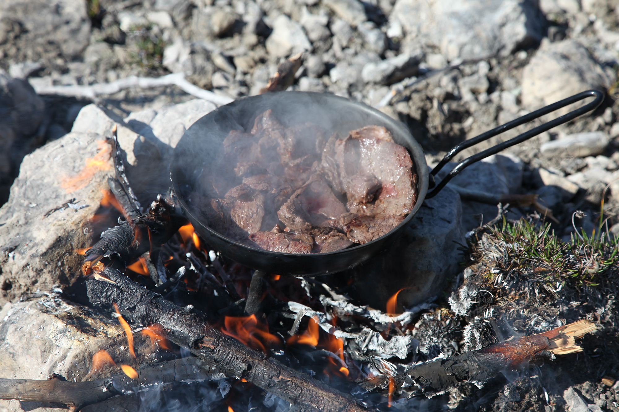 The 10 Best Tasting Wild Game Animals | Outdoor Life