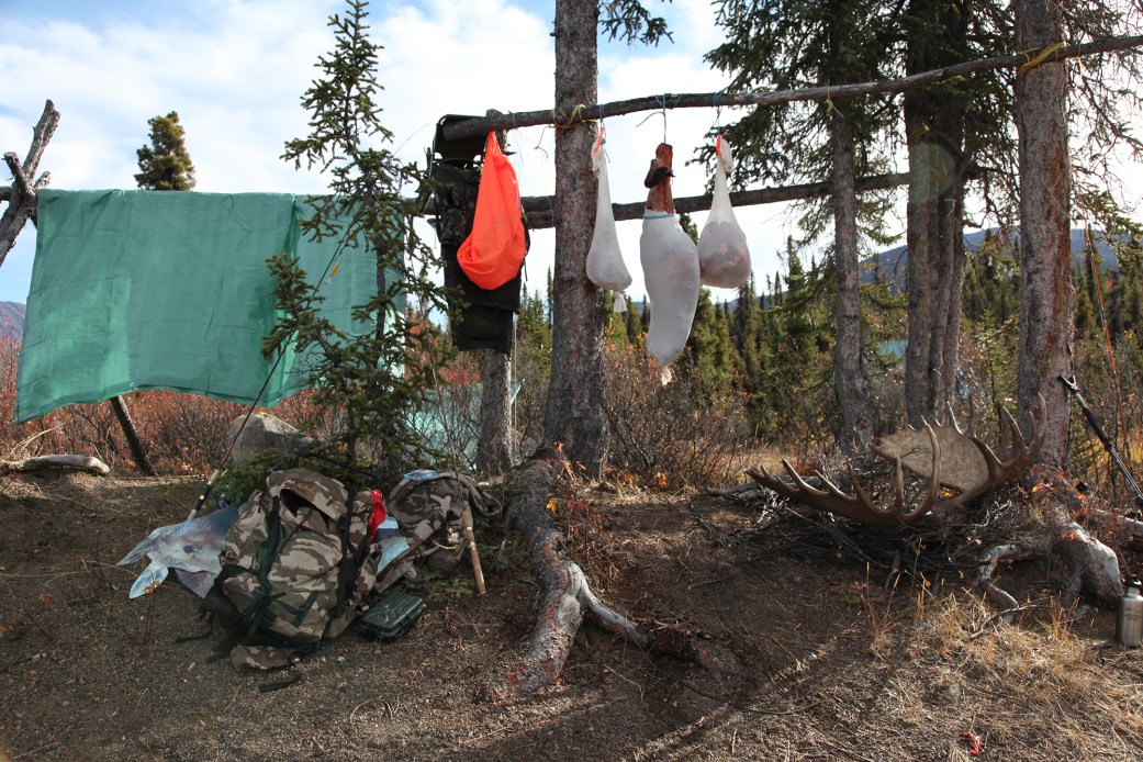 The 10 Best Tasting Wild Game Animals | Outdoor Life