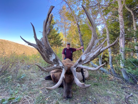 High-Fence Bull Elk Could Break an SCI World Record | Outdoor Life