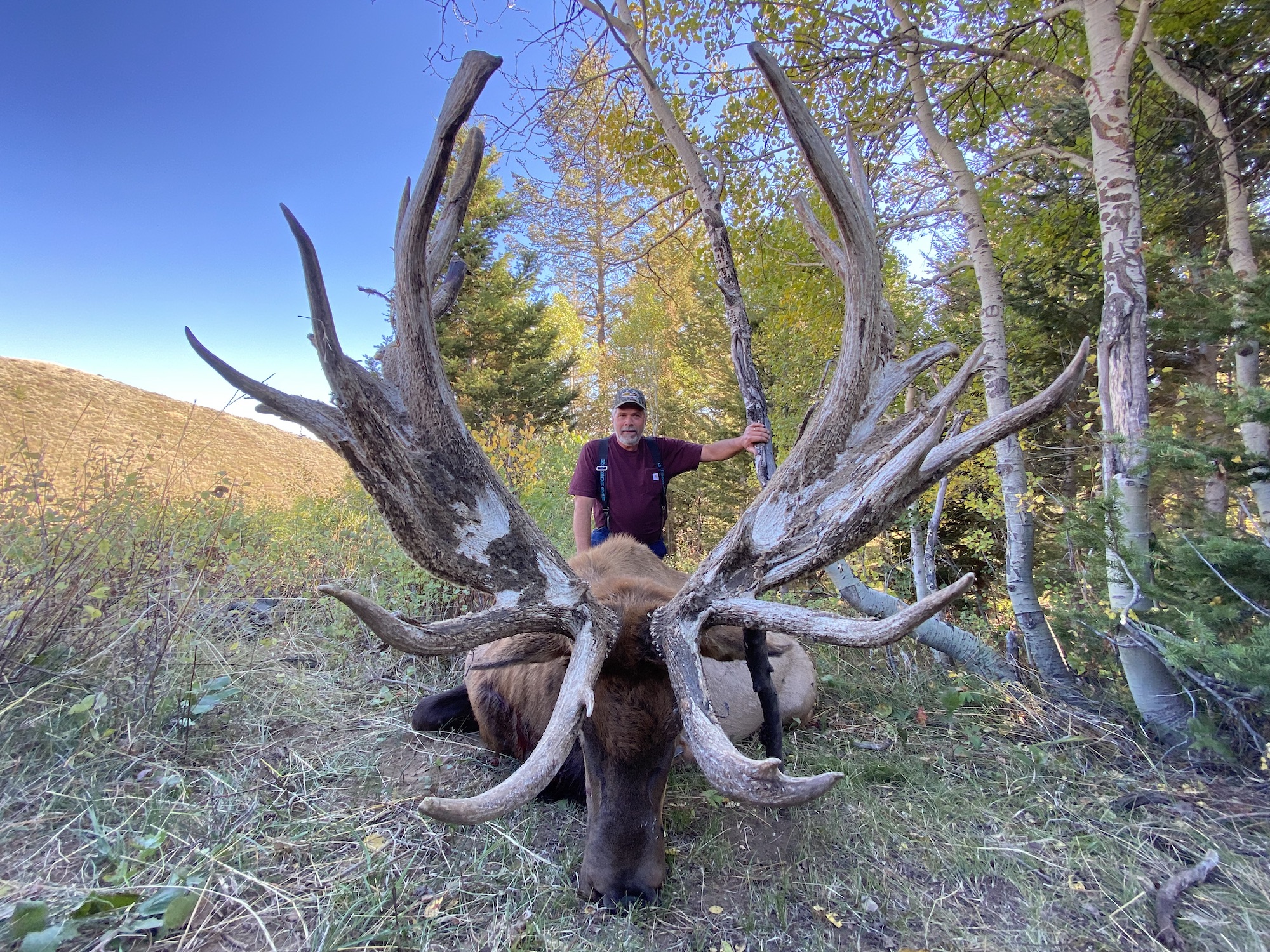 High-Fence Bull Elk Could Break an SCI World Record | Outdoor Life