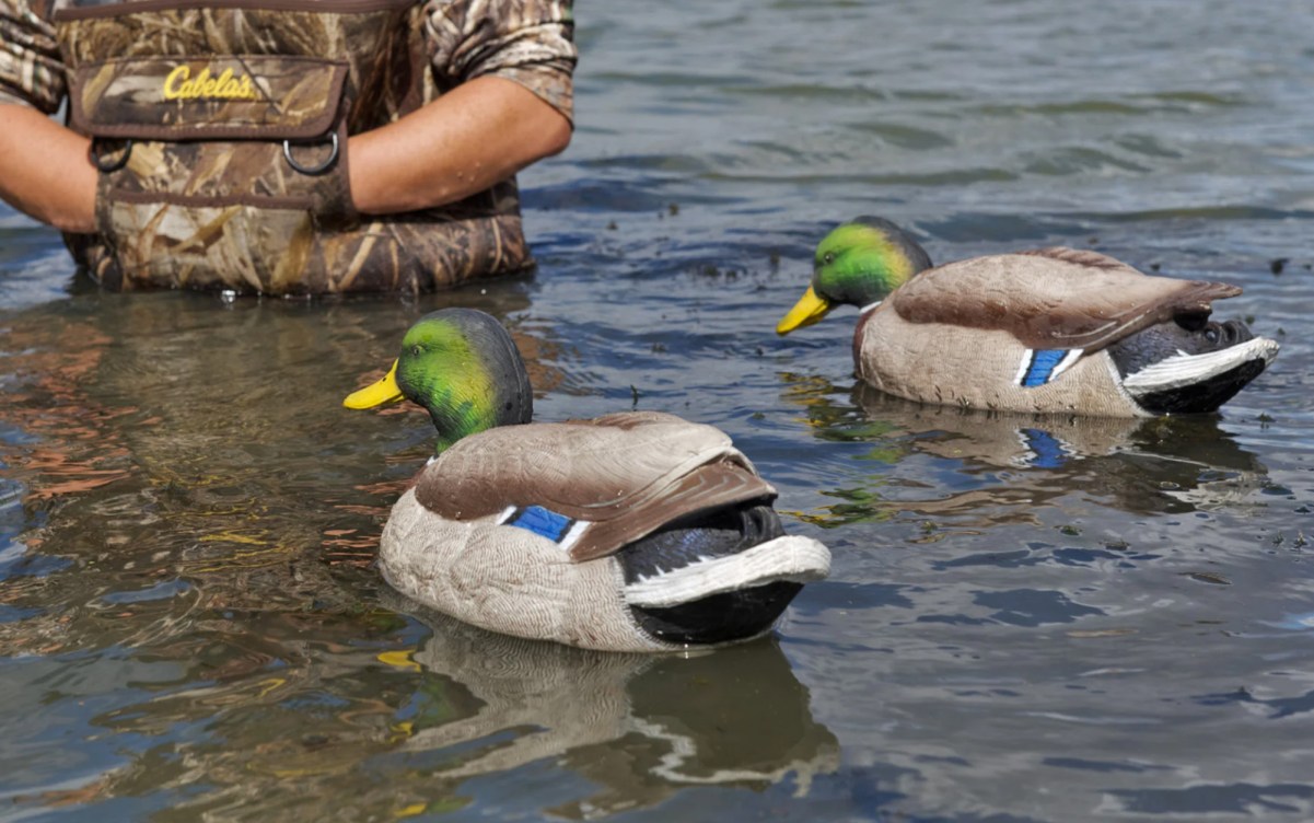 Best Duck Decoys of 2025 | Outdoor Life