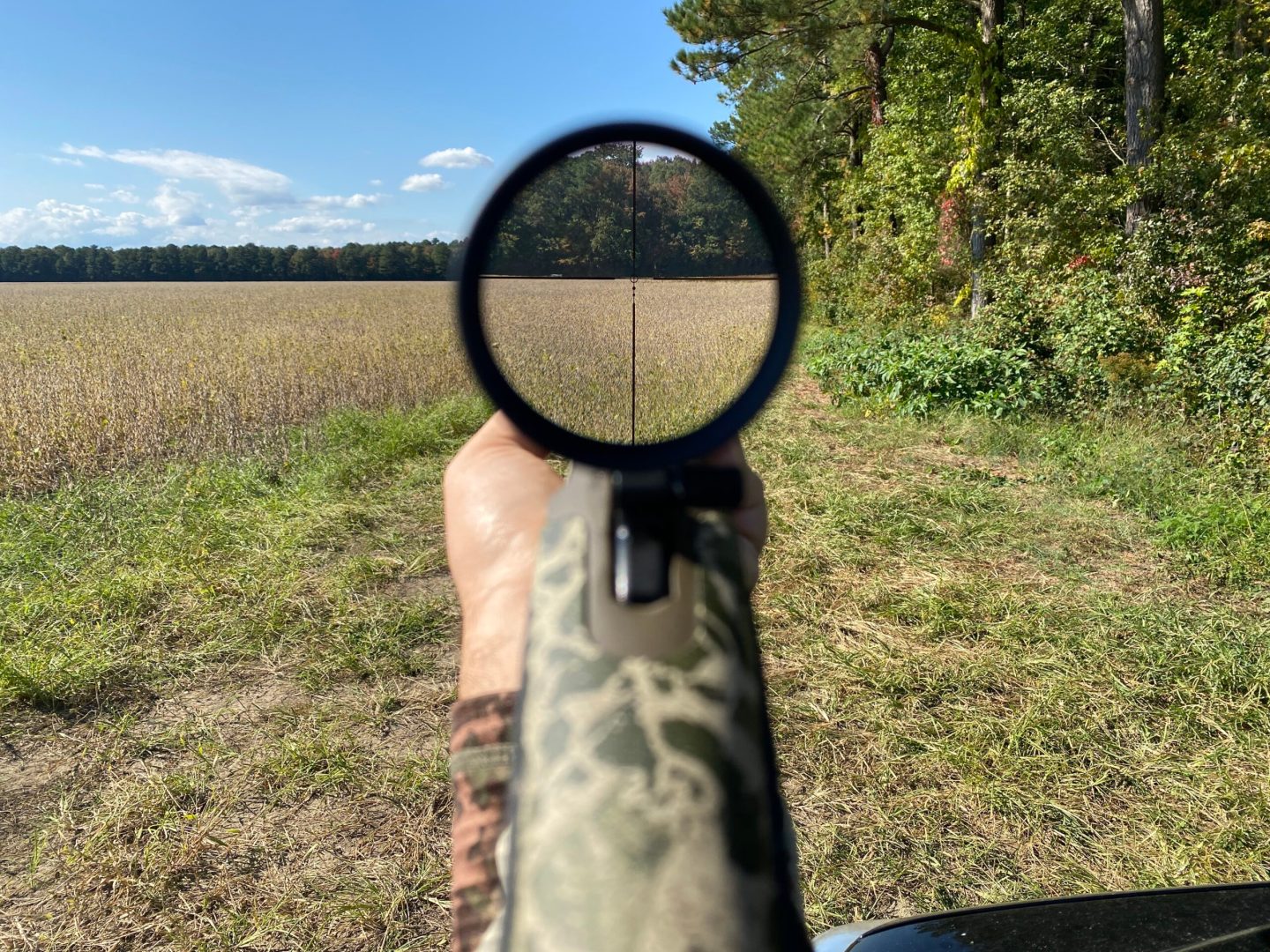 Best Muzzleloader Scopes of 2025 | Outdoor Life