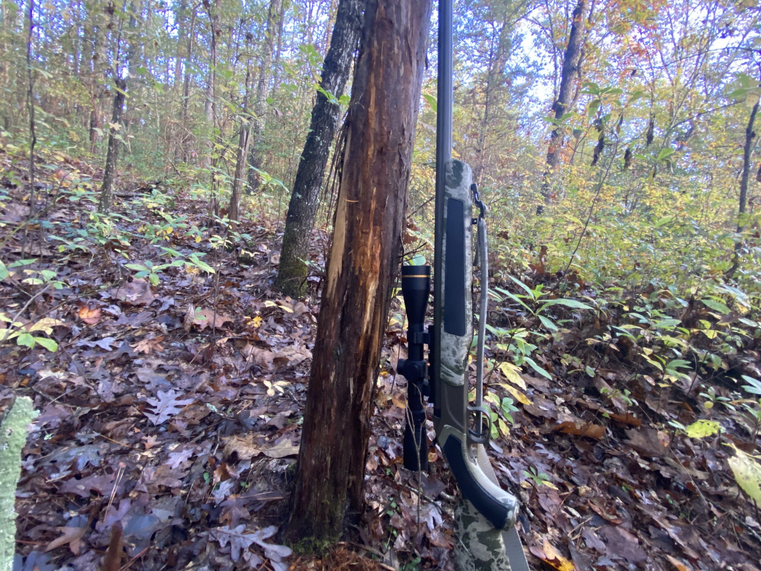 Best Muzzleloader Scopes of 2024 | Outdoor Life