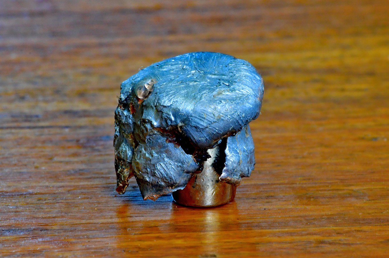 .308 Winchester Cartridge Review | Outdoor Life