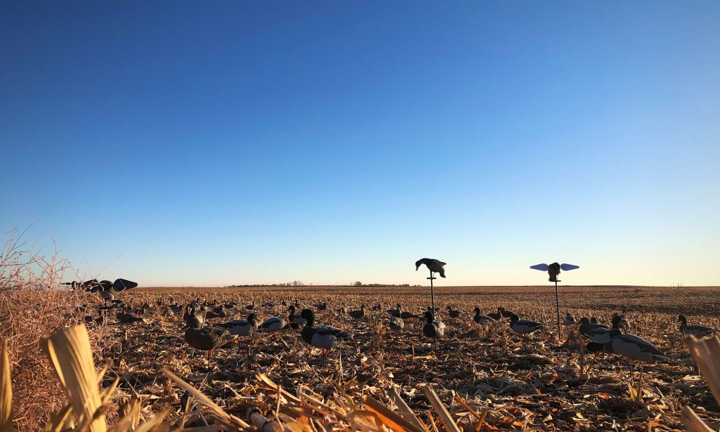 Duck Hunting | Outdoor Life