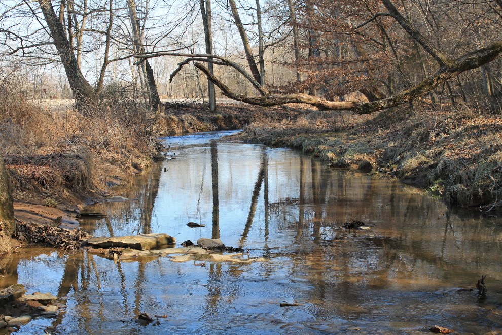The 10 Best Stand Locations for Hunting the Rut | Outdoor Life