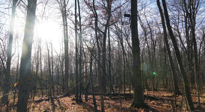 The 10 Best Stand Locations for Hunting the Rut | Outdoor Life