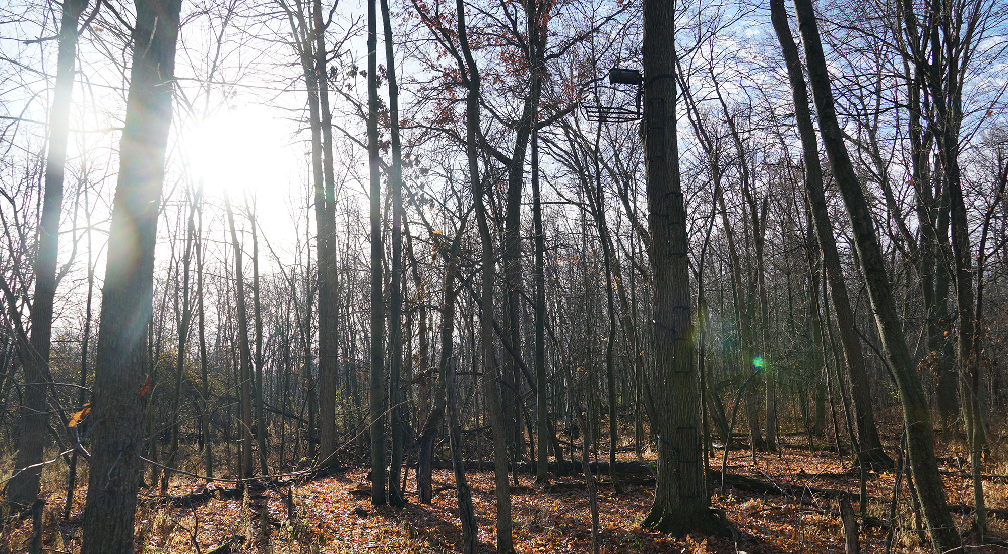 The 10 Best Stand Locations for Hunting the Rut | Outdoor Life