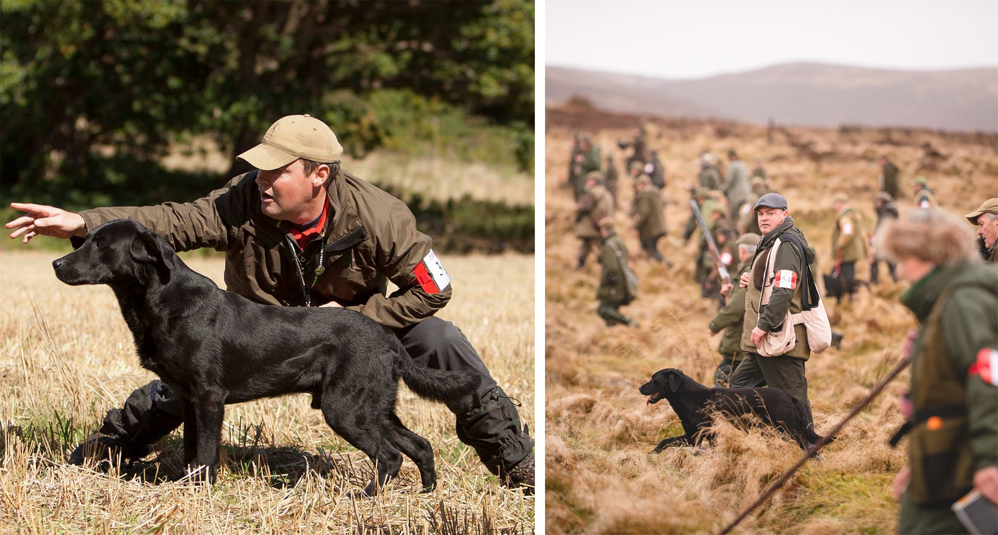 Why British Labs Might Take Over American Bird Hunting | Outdoor Life