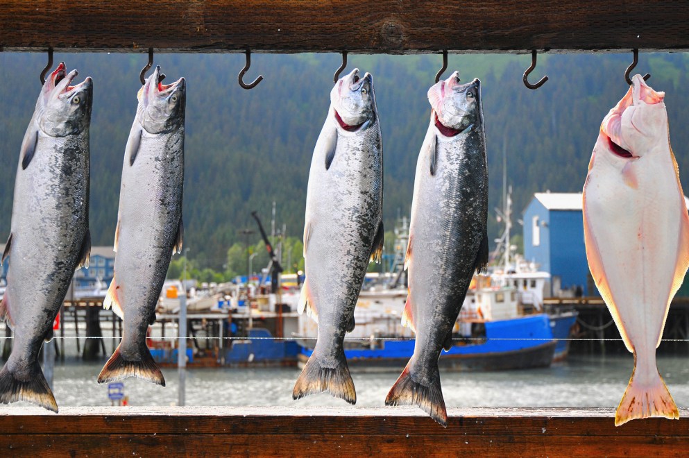 The Best Tasting Fish Species | Outdoor Life