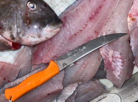 The Best Tasting Fish Species | Outdoor Life